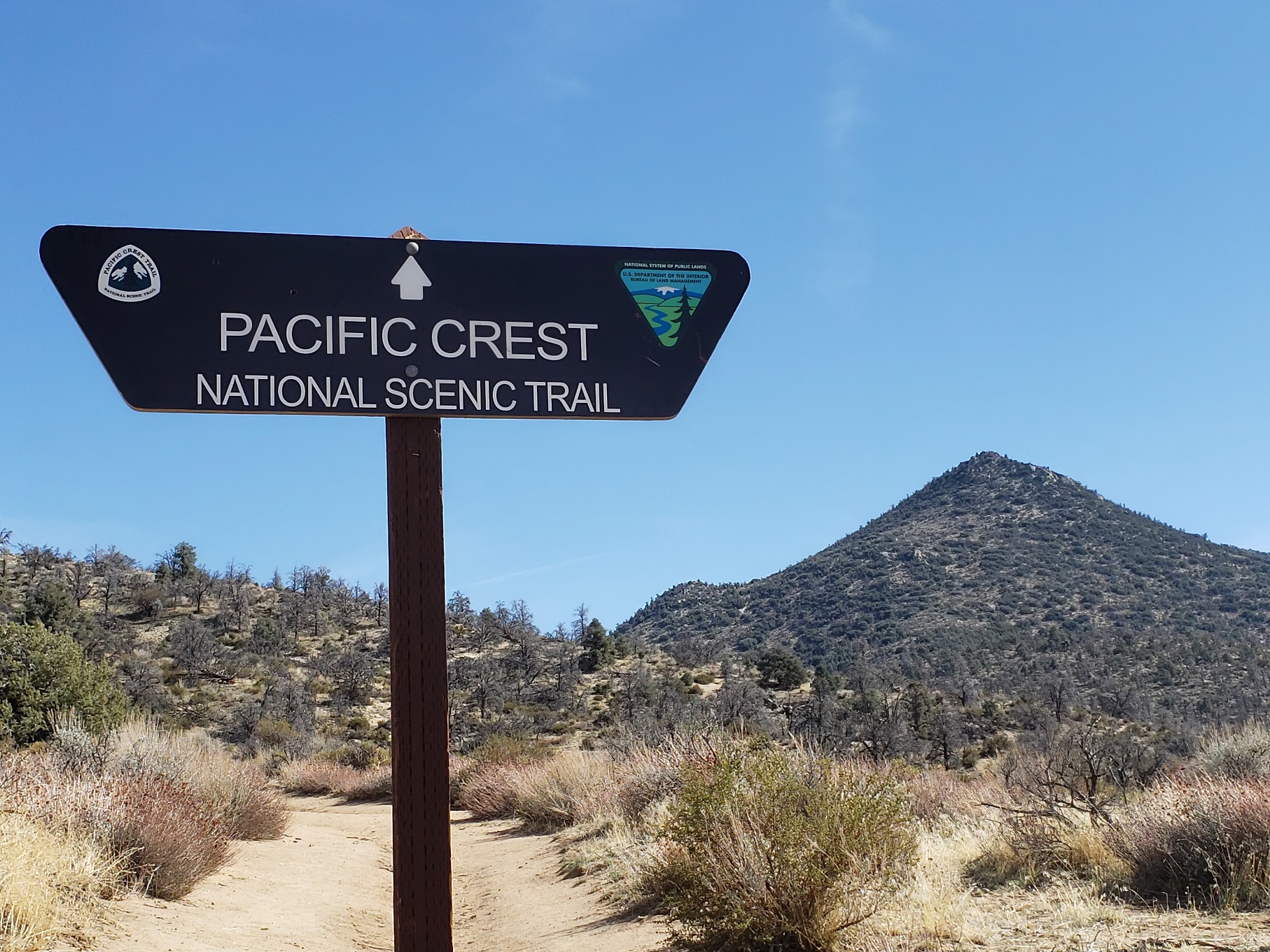 PCT Signs & Logos – Carter Hikes