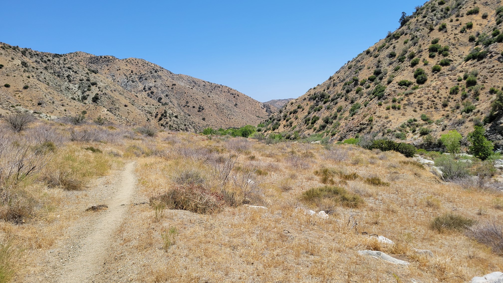 Views of the trail, Southern California – Carter Hikes